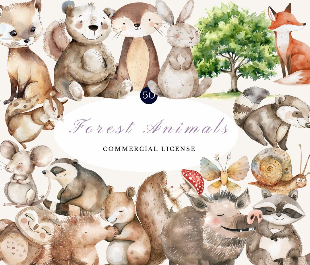 Forest Animals Watercolor Clipart Bundle | Cute Woodland Creatures ...