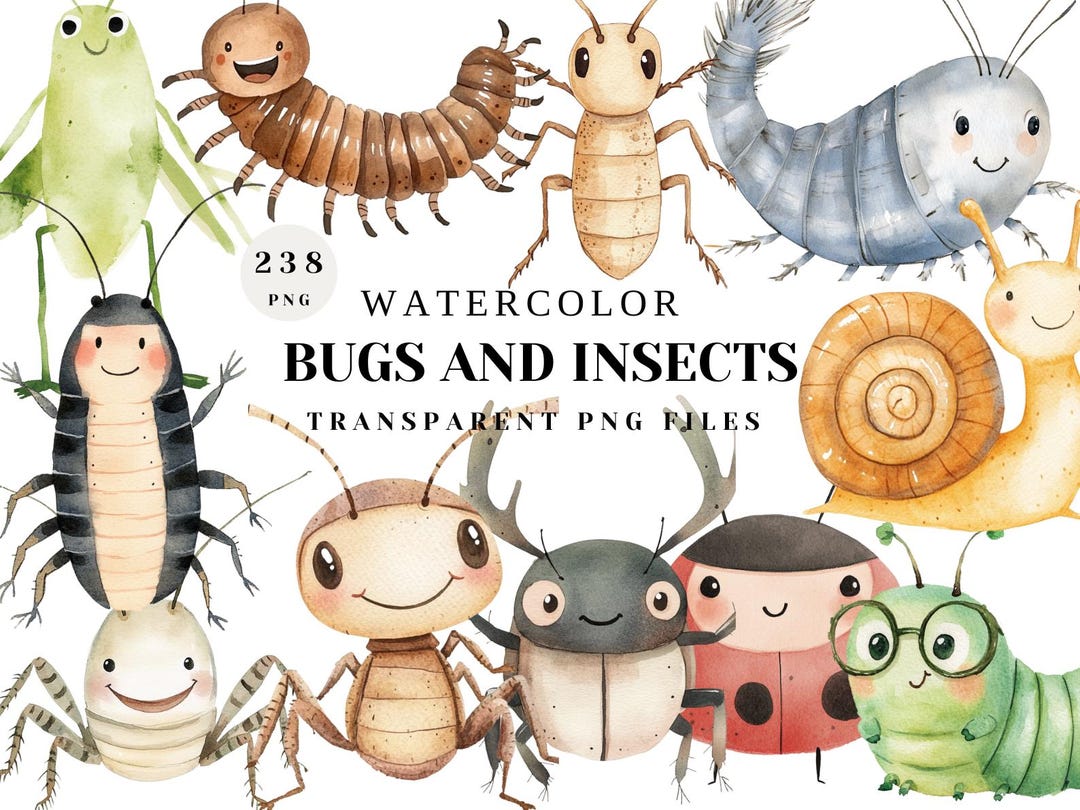 Watercolor Bugs and Insects Clipart Cute Bug Illustrations PNG Snails ...
