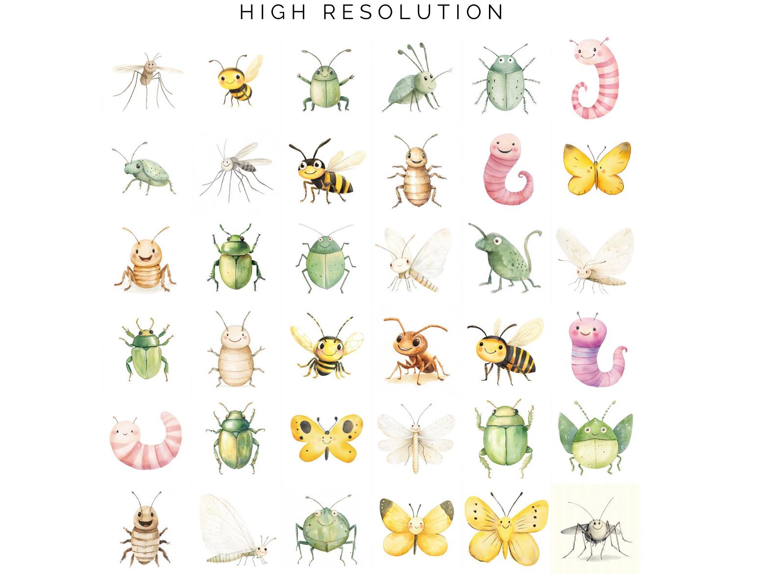 Watercolor Bugs and Insects Clipart Cute Bug Illustrations PNG Snails ...