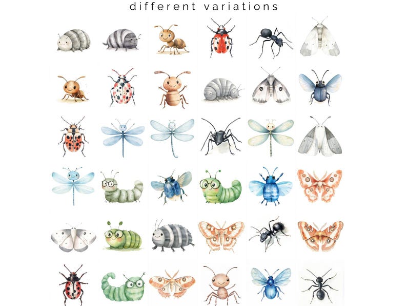 Watercolor Bugs and Insects Clipart Cute Bug Illustrations PNG Snails ...