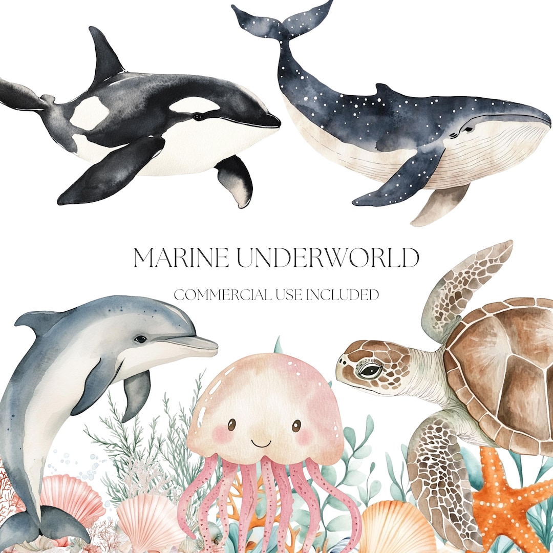 Watercolor Ocean Animals Clipart Bundle – Cute Sea Life PNG, Marine ...
