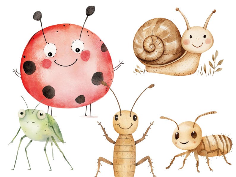Watercolor Bugs and Insects Clipart | Cute Bug Illustrations PNG ...