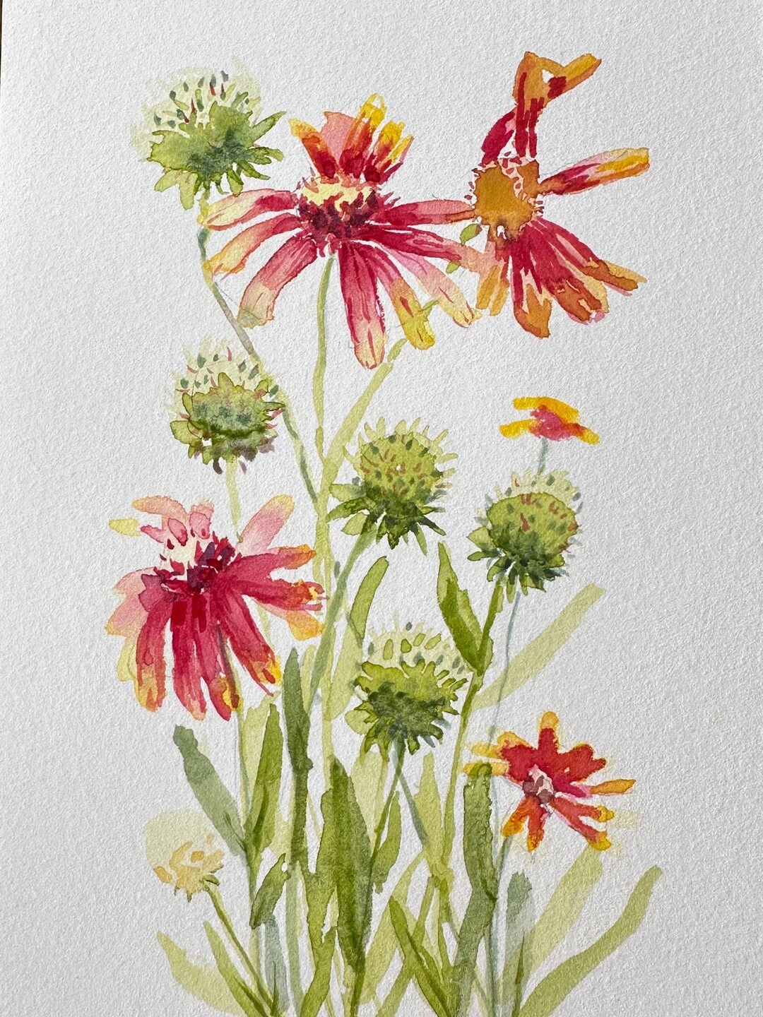 Fire Wheels - Watercolor - Etsy