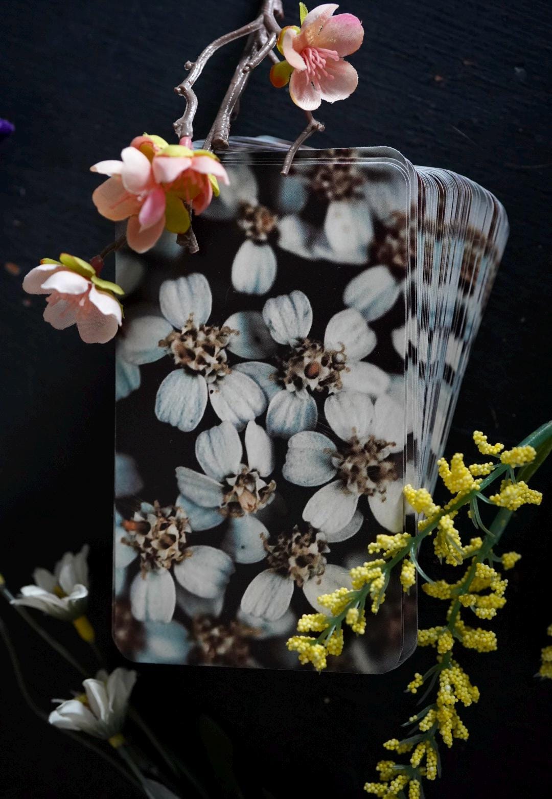 Whimsical Nature Oracle Deck With Macro Photos by Terra Petrichor - Etsy