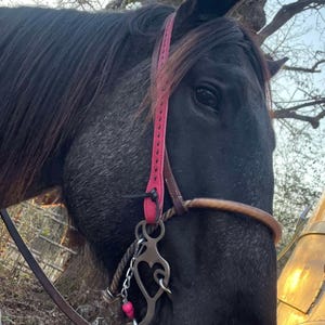 Custom Handmade PINK Bridle Leather Buckstitched Split Ear Headstall - Etsy