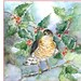 Hawk Christmas Cards- Sharp-shinned Hawk Holiday Cards- Woodland Bird ...