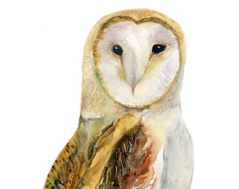 Barn Owl Designs - Etsy
