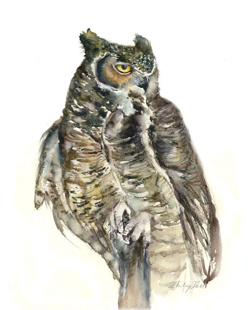 Great Horned Owl Archival Print Owl Art Owl Watercolor - Etsy