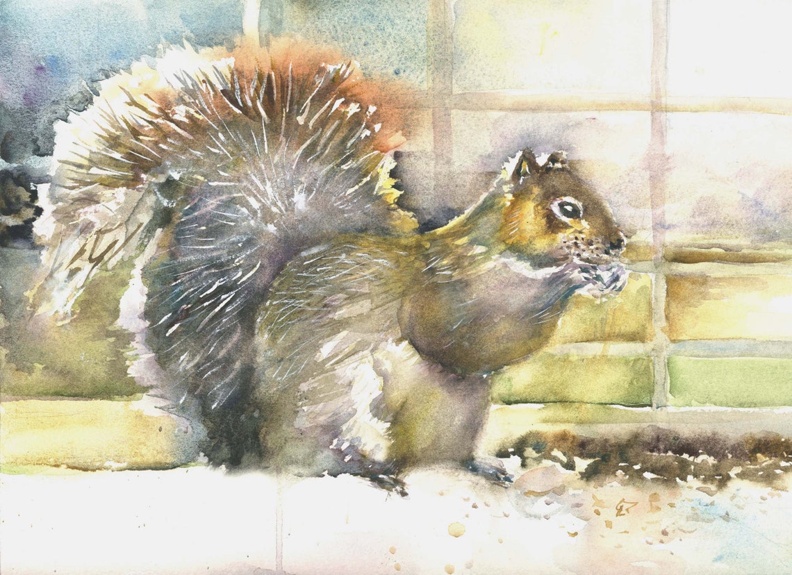 Squirrel Note Cards Squirrel Art Nature Notecards Squirrel | Etsy