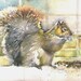 Squirrel Note Cards Squirrel Art Nature Notecards Squirrel Watercolor ...