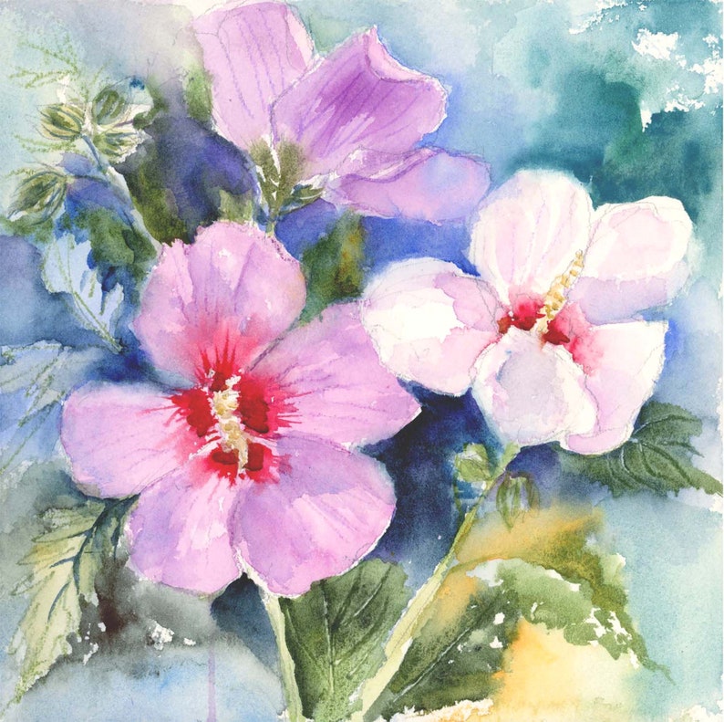 2 Original Rose of Sharon Paintings Flower Art in Small | Etsy