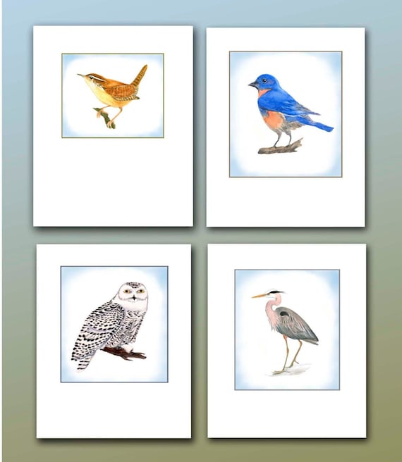 Bird note cards watercolor bird cards snowy owl card wren | Etsy