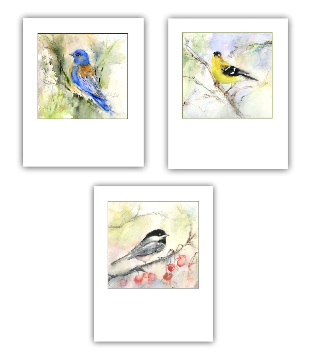 Songbird Note Cards- Watercolor Bird Cards-goldfinch Card, Bluebird ...