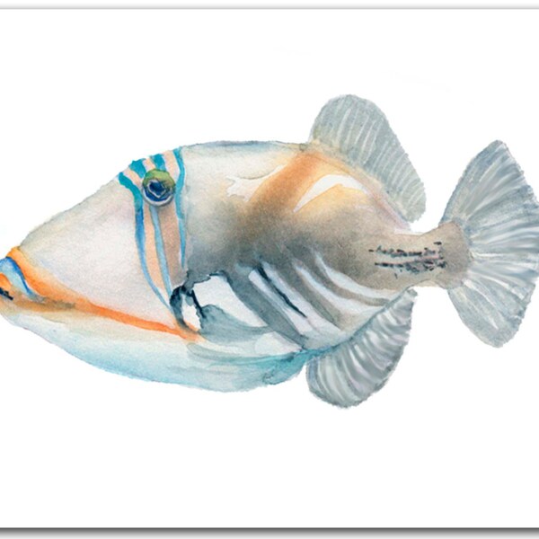 Hawaii State Fish - Etsy