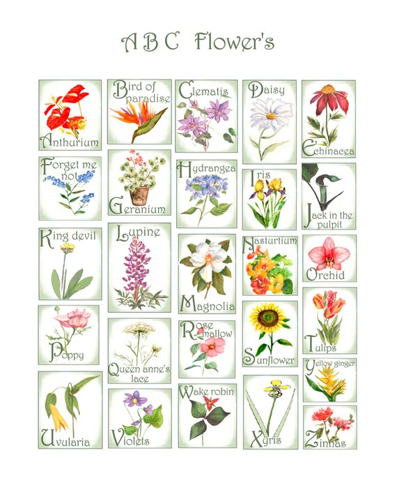 ABC Flowers 8x10 Giclee Print. Watercolor Painting. | Etsy