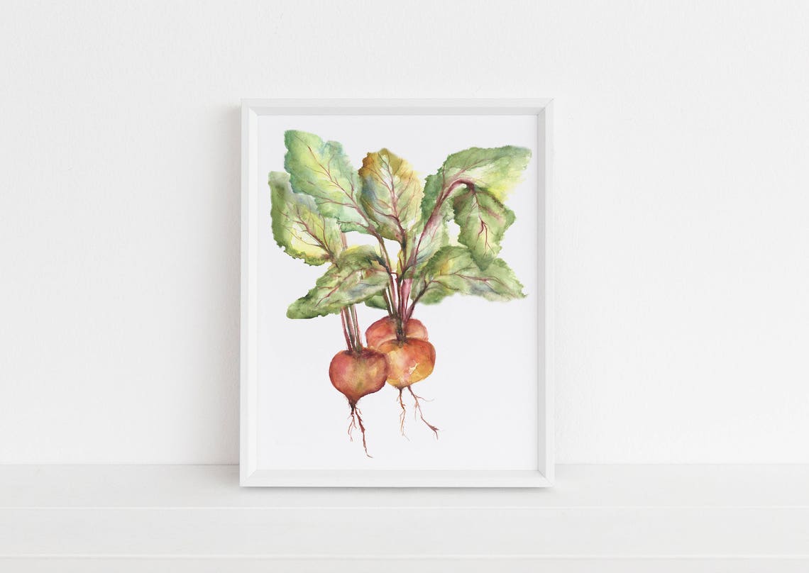 Beets Beet Watercolor Print Watercolor Vegetables Beet | Etsy