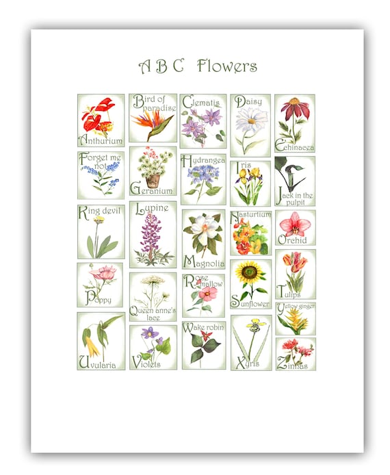 Floral Note Cards. Floral Thank You Notes Abc Flower Card | Etsy