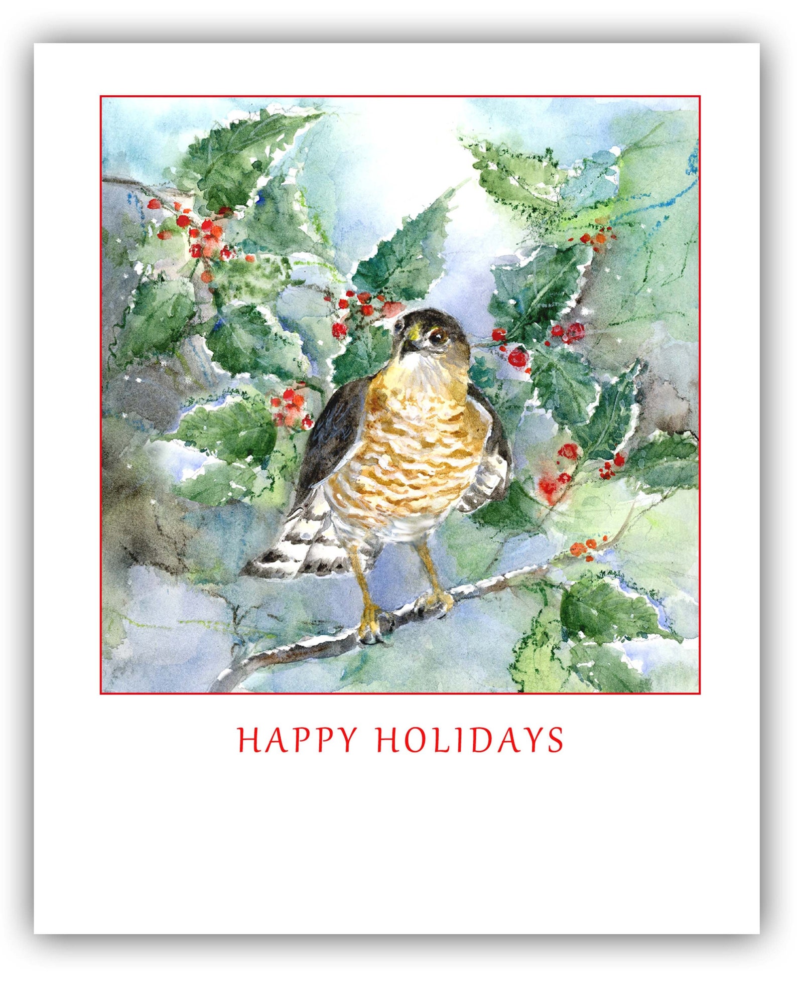 Hawk Christmas Cards- Sharp-shinned Hawk Holiday Cards- Woodland Bird ...