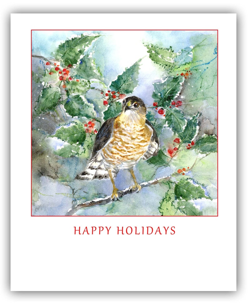 Hawk Christmas Cards Sharp-shinned Hawk Holiday Cards - Etsy