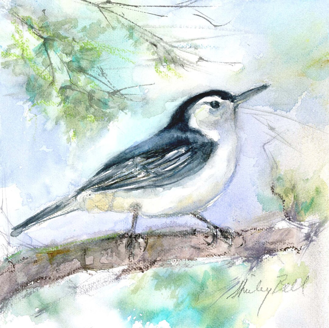 Nuthatch Original Watercolor Painting- Nuthatch Painting- Original ...