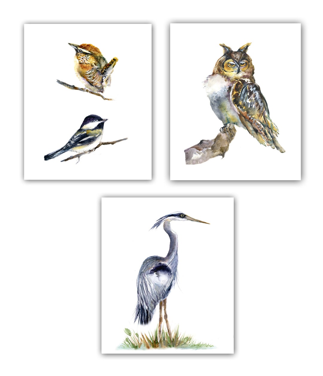 Bird Cards, Bird Stationery, Woodland Gift, Owl Cards, Wren Cards, Bird ...