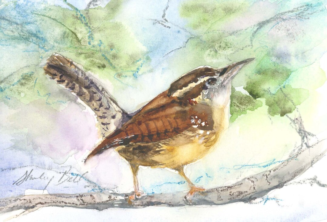 Wren Print- Song Bird Art- Wren Lovers Gift -bird Watercolor Print ...