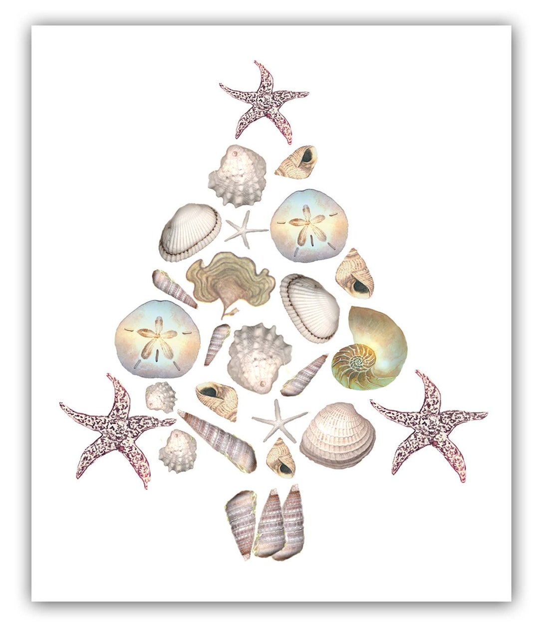 Shell Tree Christmas Cards, Winter Solstice Card, Sand Dollar Christmas ...