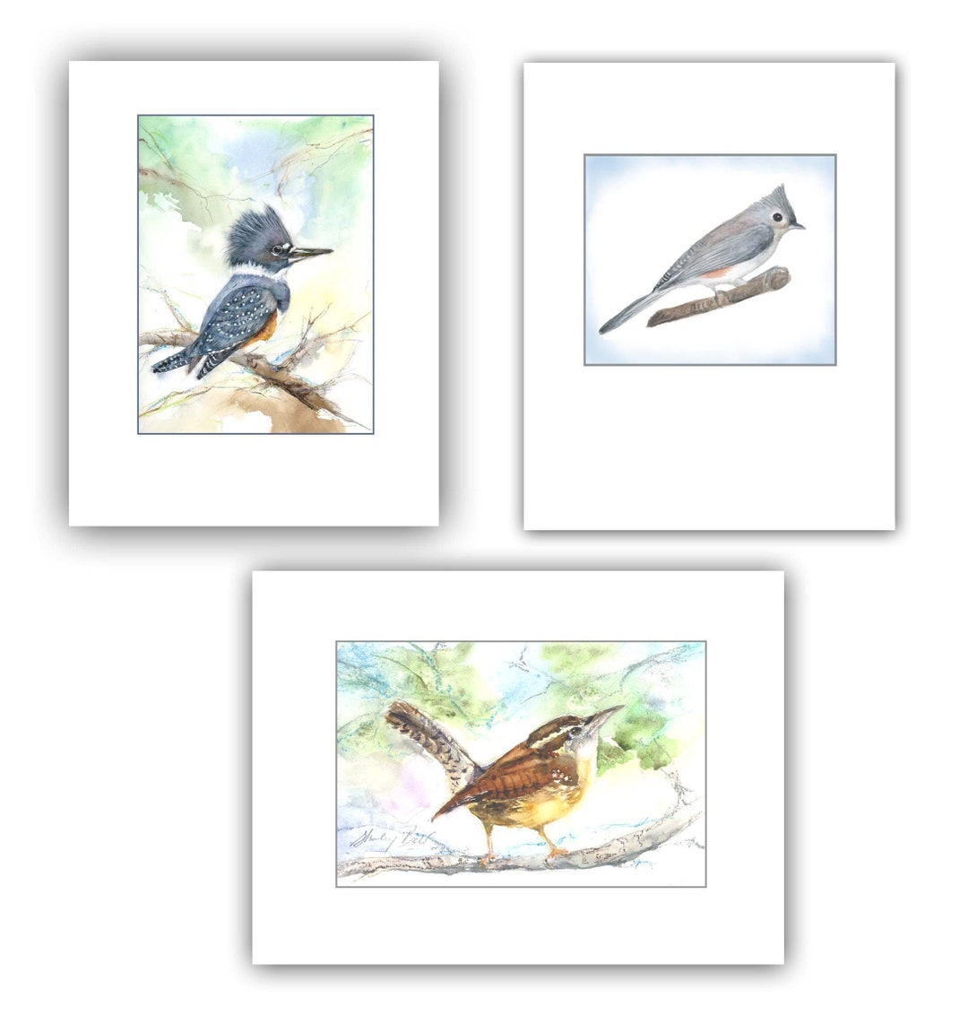 Bird Note Cards- Watercolor Bird Cards- Kingfisher Card, Titmouse Card ...