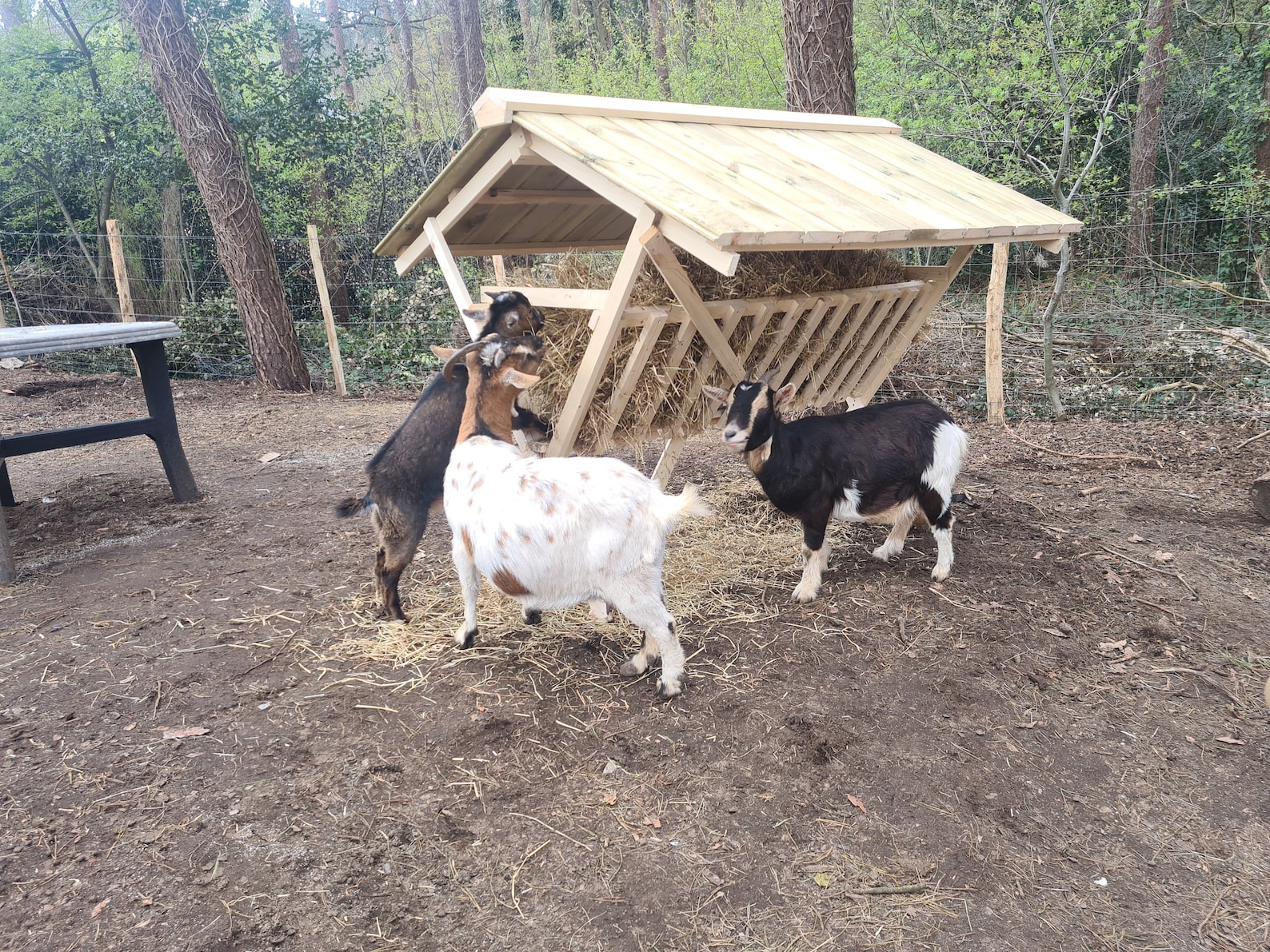 Covered Hay Rack Construction Drawings (4 Different Sizes) Metric Sizes ...