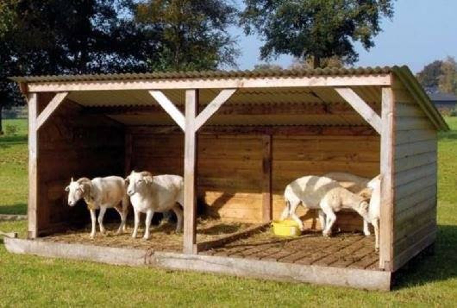 Animal Shed Plan B1500 L3000 H1500 or Sheep Stable Construction Drawing Metric Sizes ...