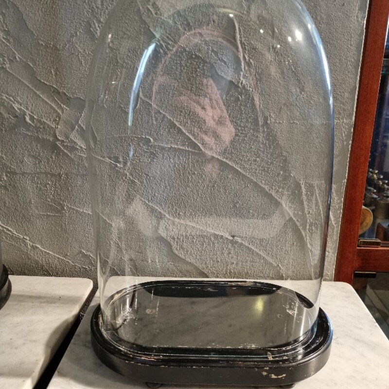 Glass Bell Jars - Etsy