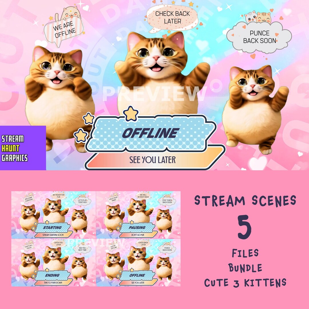 Cute Kittens Stream Overlays Animations Bundle | Starting, Pausing ...