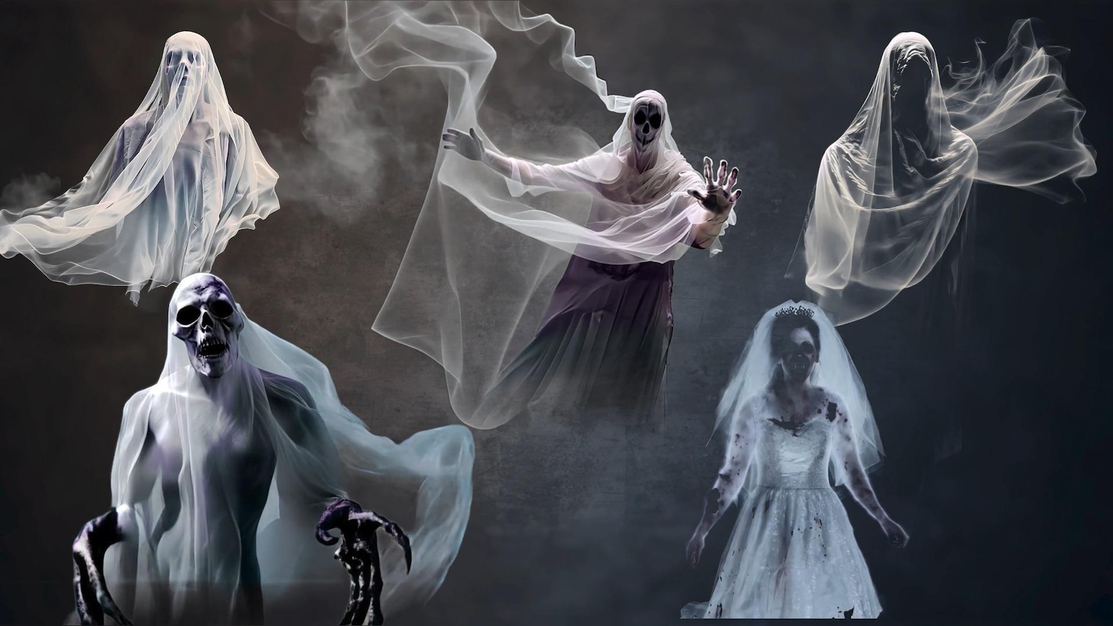 12 Ghost Alert Animations: Paranormal Stream Overlays (WEBM & Prores ...
