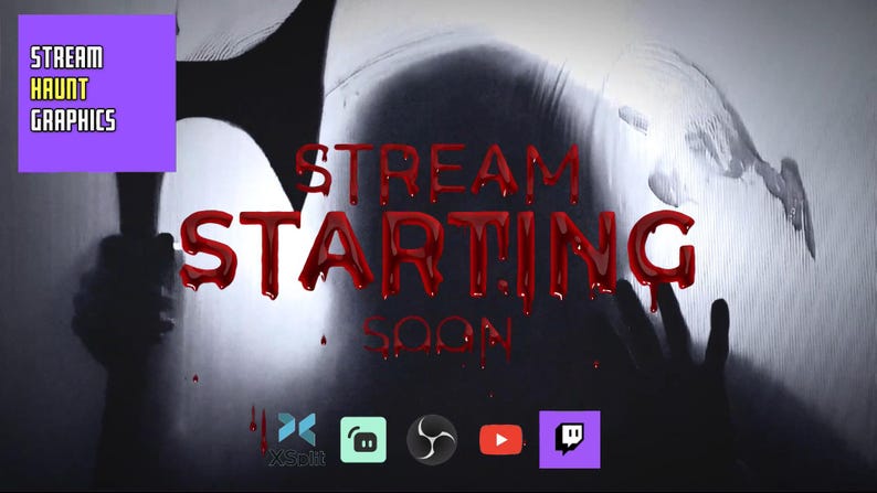Haunted Ghost Stream Overlay Pack | Horror MP4 Screens + Offline JPG - Etsy