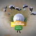 Golf Twitch Overlay Scene Animations Bundle | 4 Color Schemes | Full HD ...