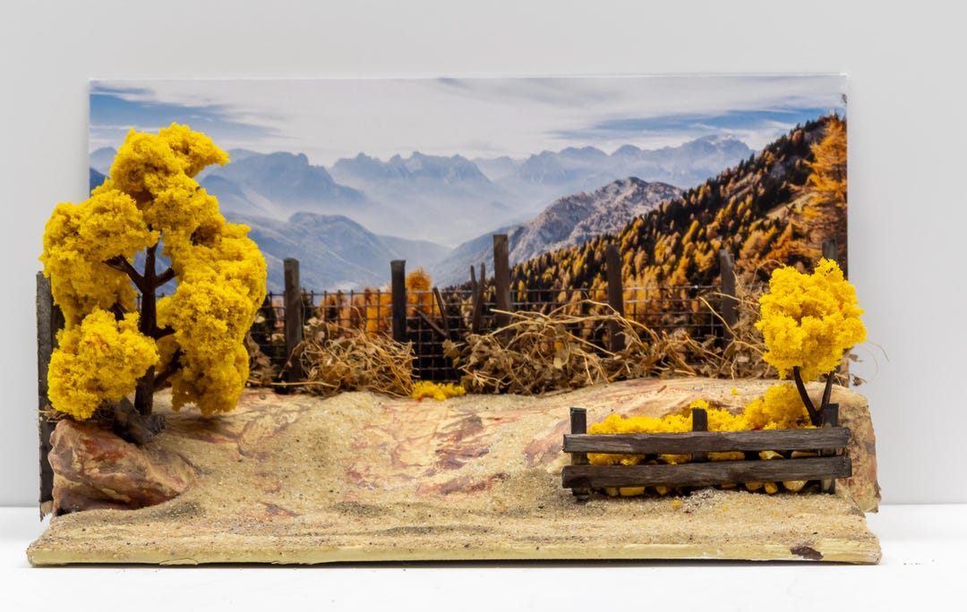 Handmade Nature Scene Diorama for 1/64 Scale Diecast Vehicles Made From ...