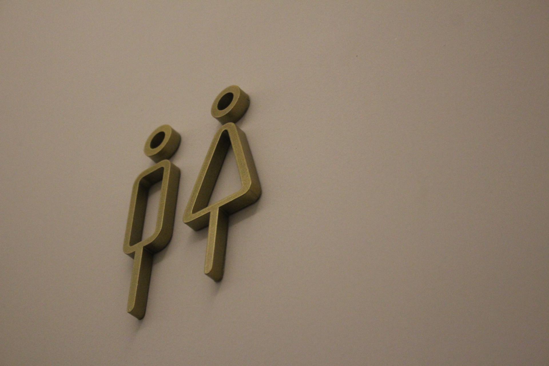 Metal WC Sign, Bathroom Sign, Restroom Sign, Bathroom Door Sign, Toilet ...