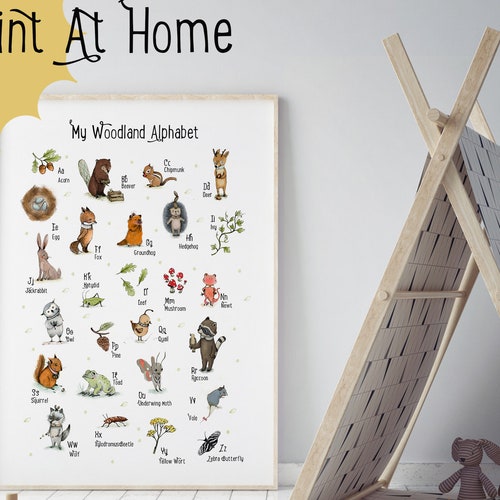 Printable Conifer Tree Art Print Tree ID Guide Poster | Etsy