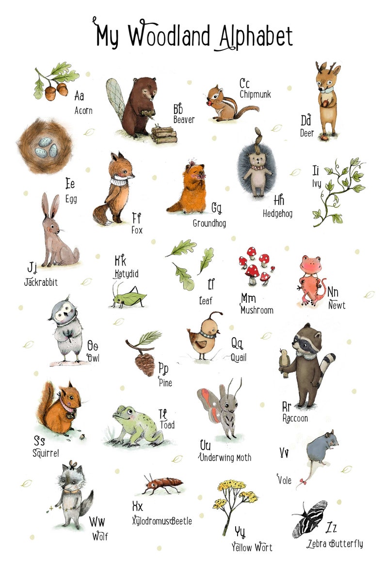 Digital download ABC Woodland alphabet poster woodland | Etsy