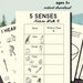 5 Senses Nature Walk, Nature Sensory Activity Ideas for Kid, Nature ...