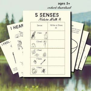5 Senses Nature Walk, Nature Sensory Activity Ideas for Kid, Nature ...