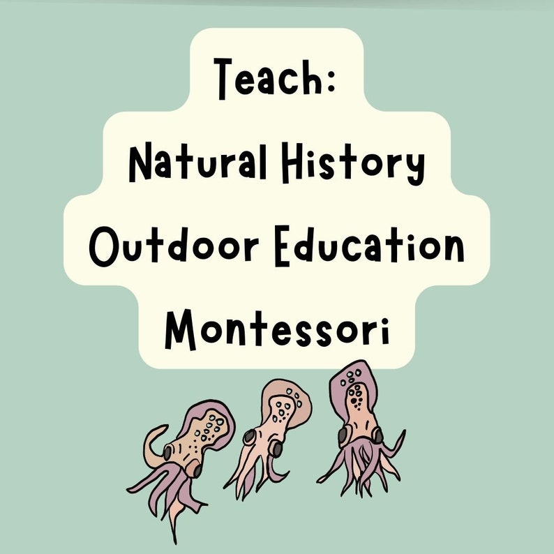 Octopus Life Cycle Wheel Craft for Preschool Science Lesson, Montessori ...