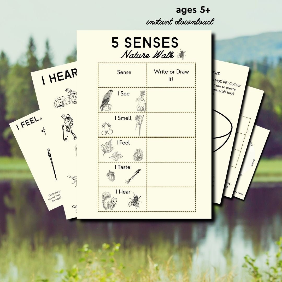 5 Senses Nature Walk, Nature Sensory Activity Ideas for Kid, Nature ...