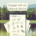 5 Senses Nature Walk, Nature Sensory Activity Ideas for Kid, Nature ...
