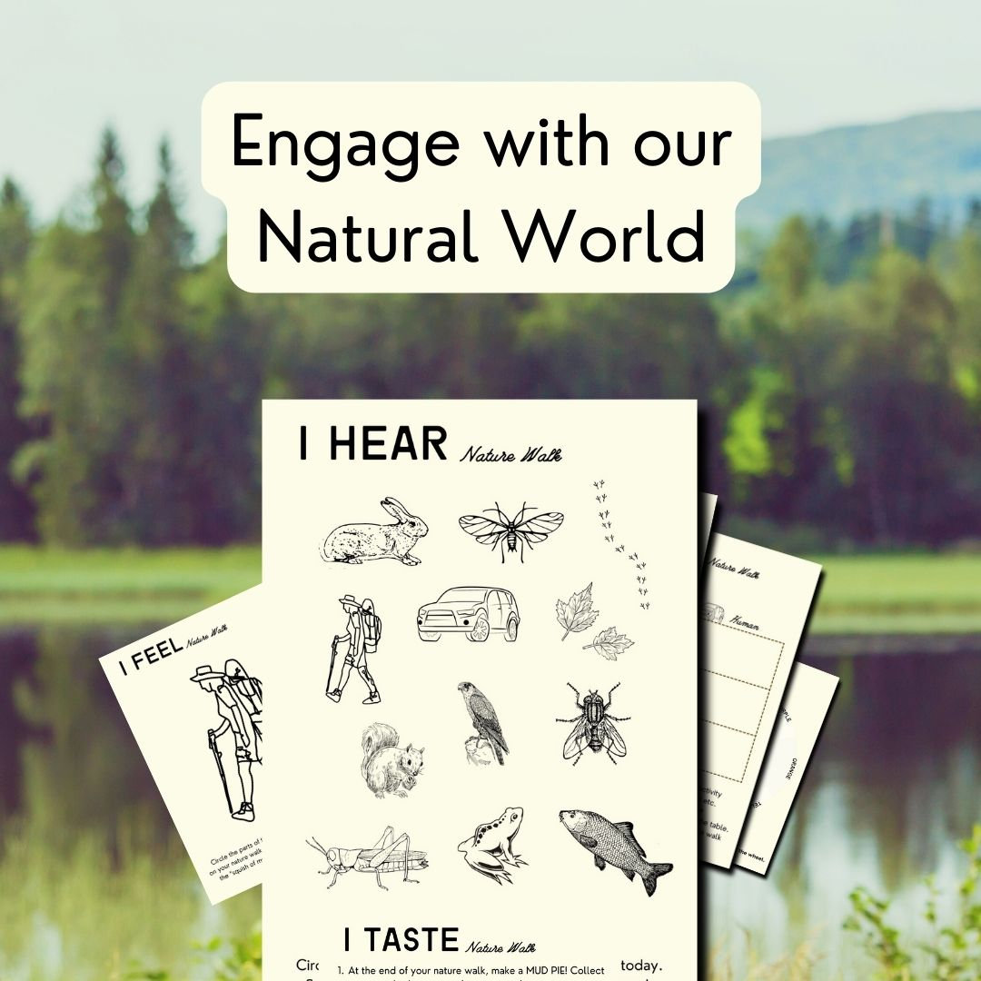 5 Senses Nature Walk, Nature Sensory Activity Ideas for Kid, Nature ...