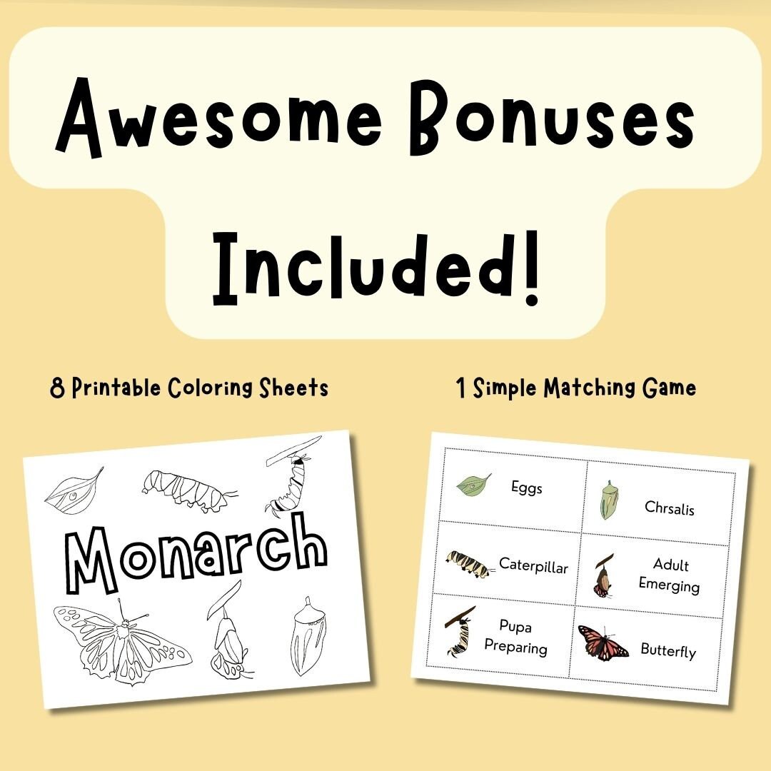 Butterfly Life Cycle Wheel Craft for Pre-schooler, Monarch Life Cycle ...