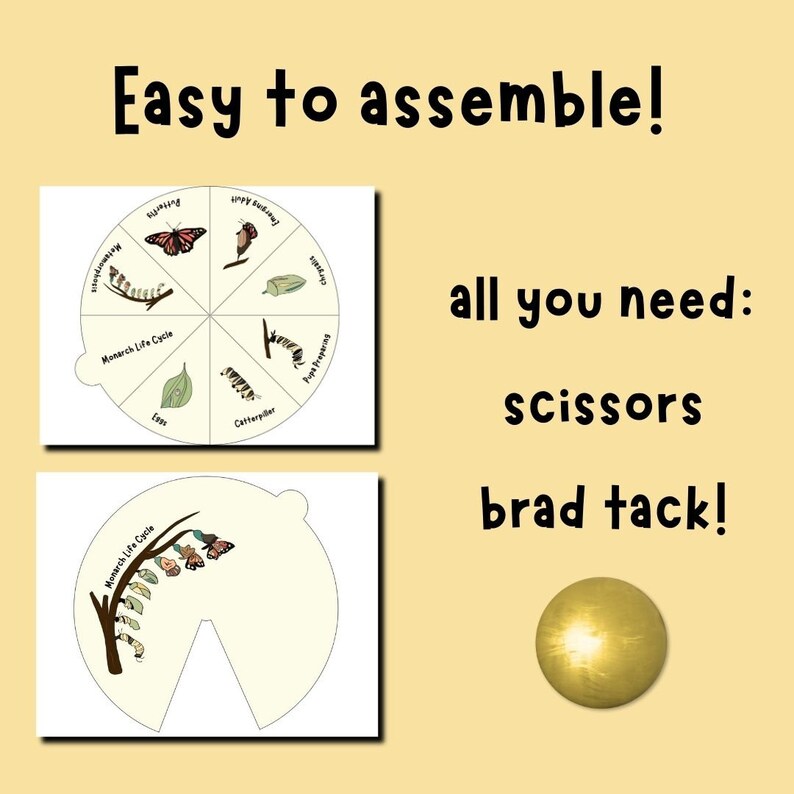 Butterfly Life Cycle Wheel Craft for Pre-schooler, Monarch Life Cycle ...