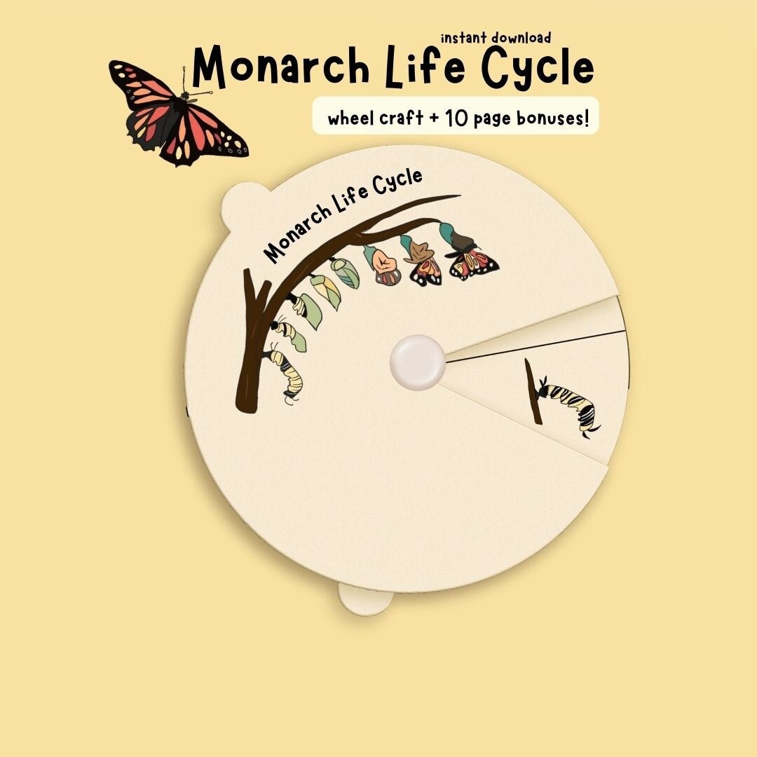 Butterfly Life Cycle Wheel Craft for Pre-schooler, Monarch Life Cycle ...