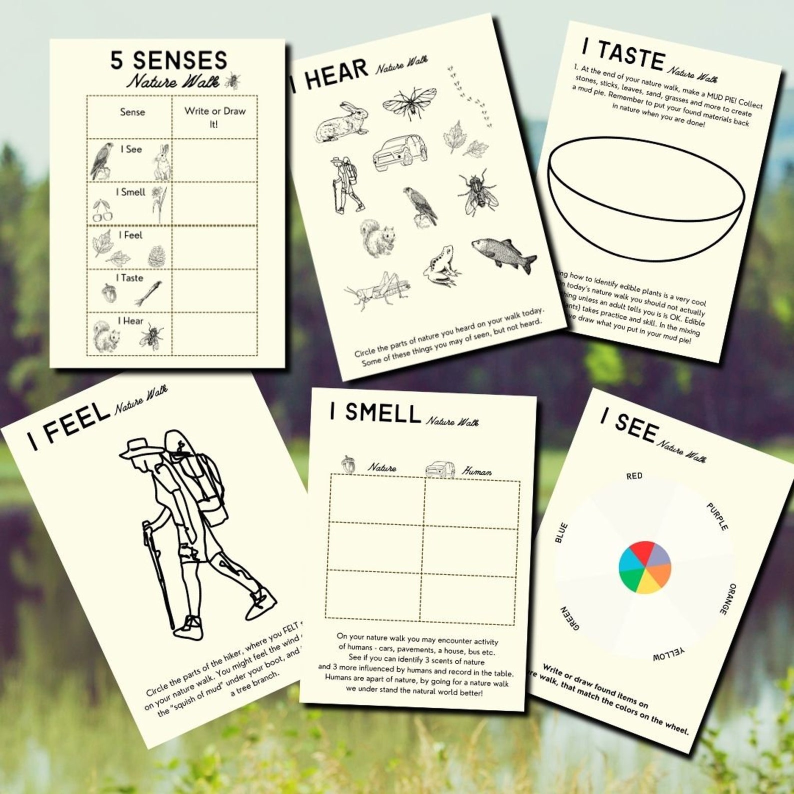 5 Senses Nature Walk, Nature Sensory Activity Ideas for Kid, Nature ...