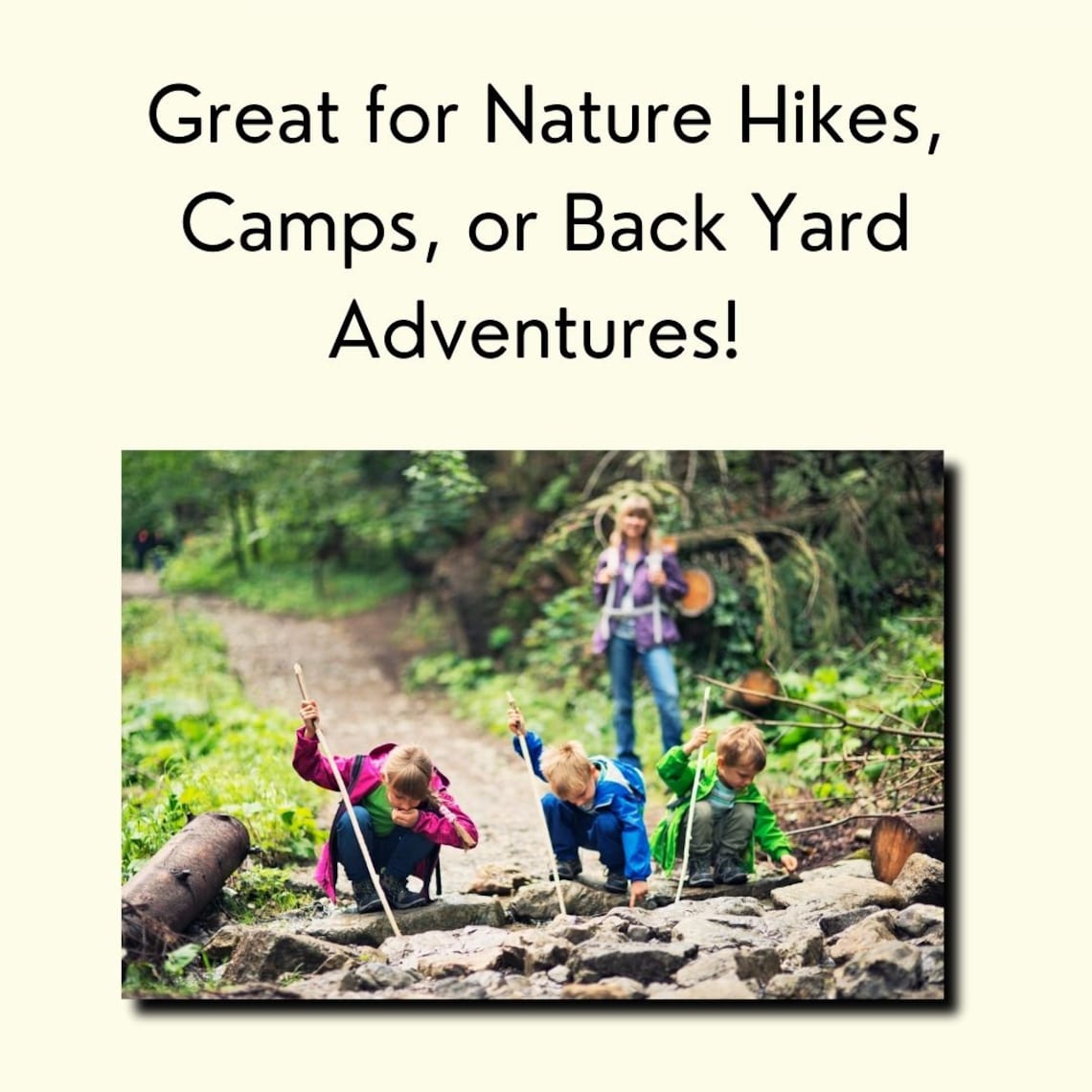 5 Senses Nature Walk, Nature Sensory Activity Ideas for Kid, Nature ...